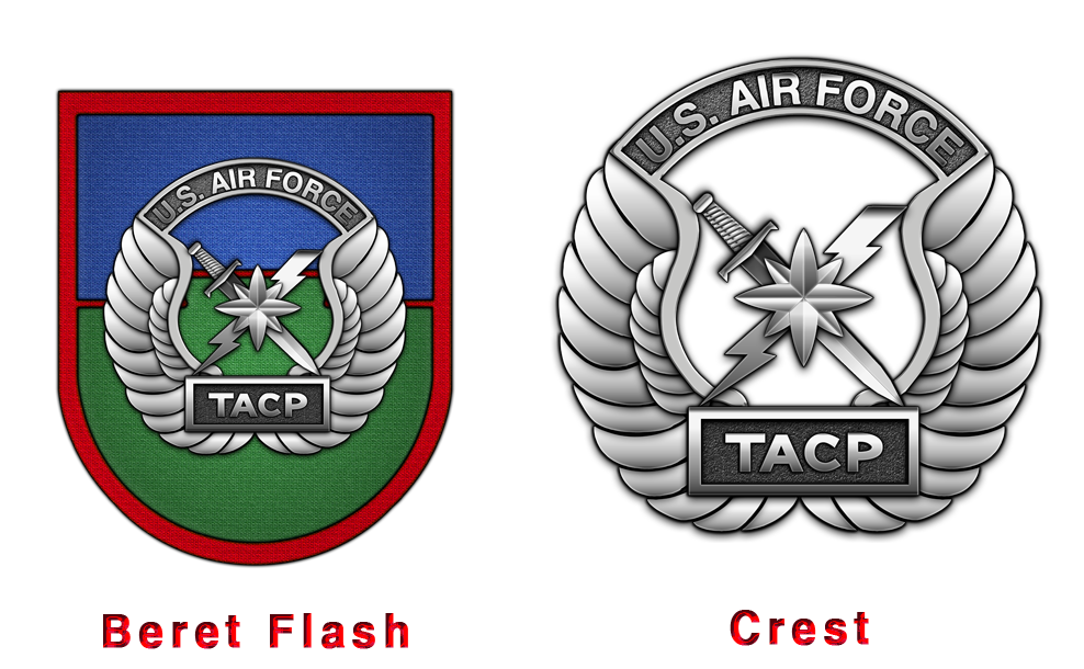 Military Insignia 3D : USAF Tactical Air Control Party: Flash & Crest